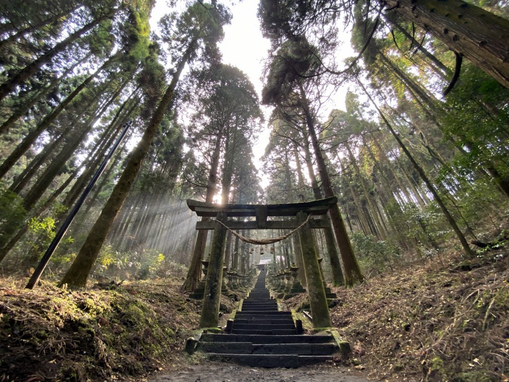 Sightseeing Train to Minami-Aso: The Tracks of the Minami-Aso Railway ...